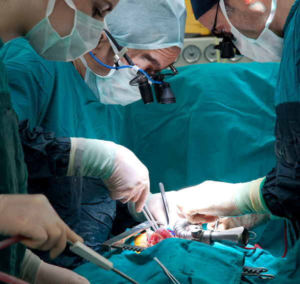 TachoSil Sealant Matrix - Corza Medical Global