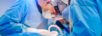 Catalogs - Corza Medical